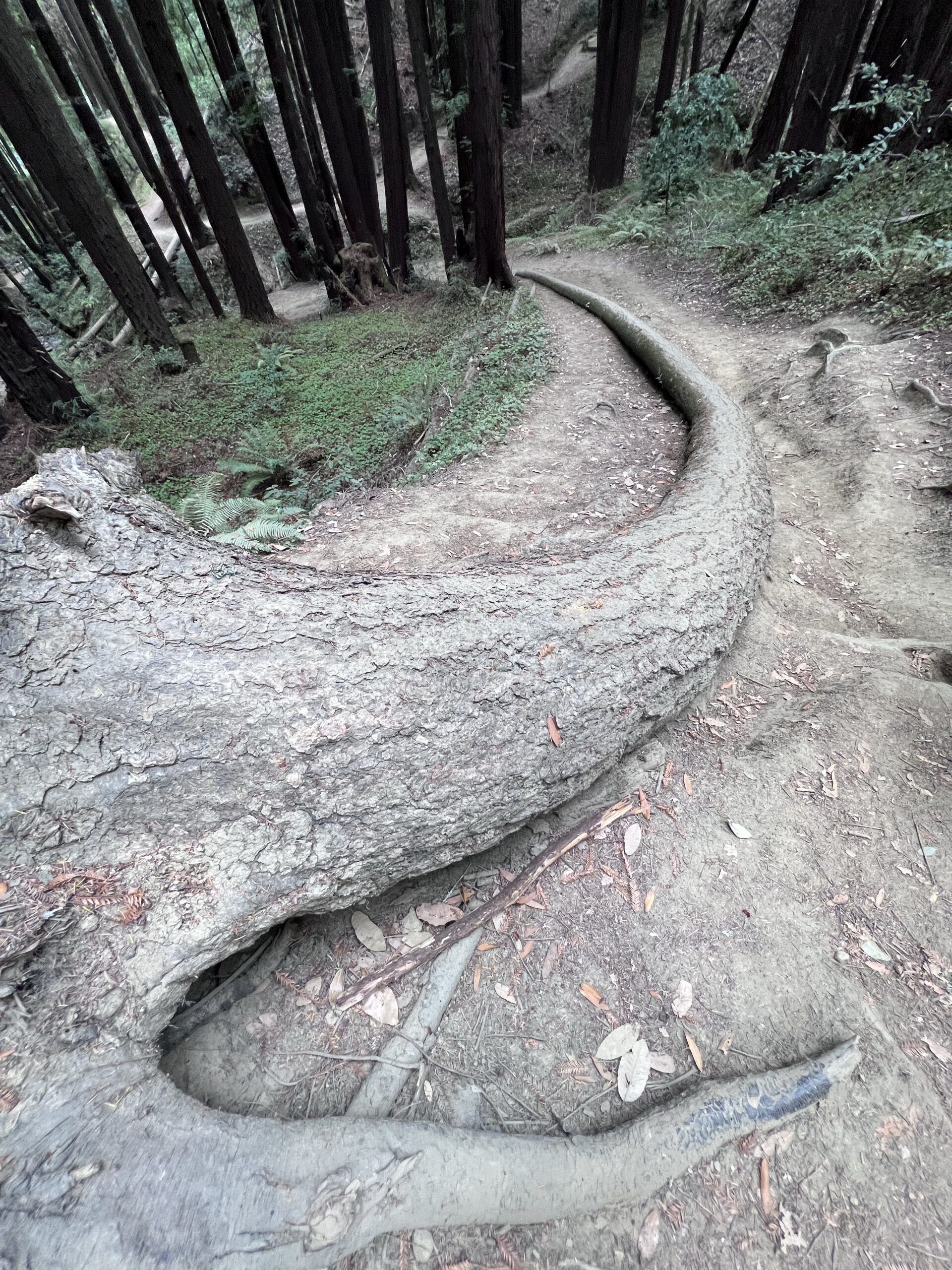 A Hangar Life – … and a mind full of movement